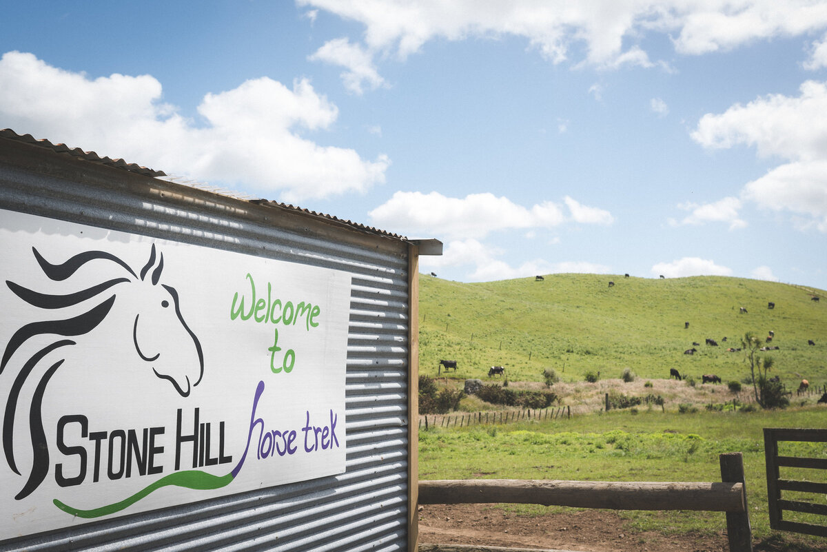 Gallery of Stone Hill | Stone Hill Horse Trek