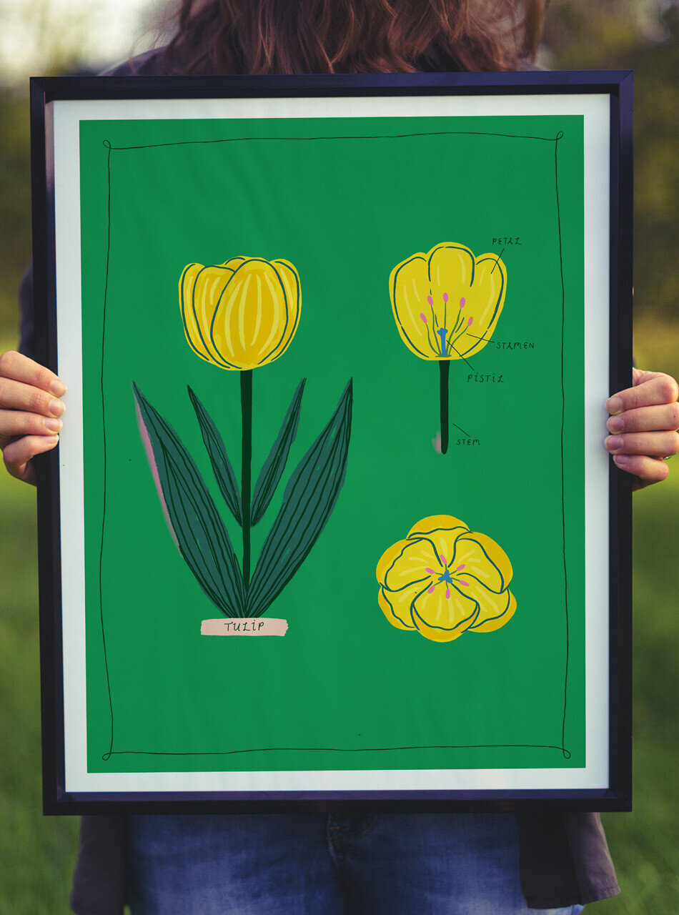 portfolio Crissie Rodda art + illustration | crissie rodda