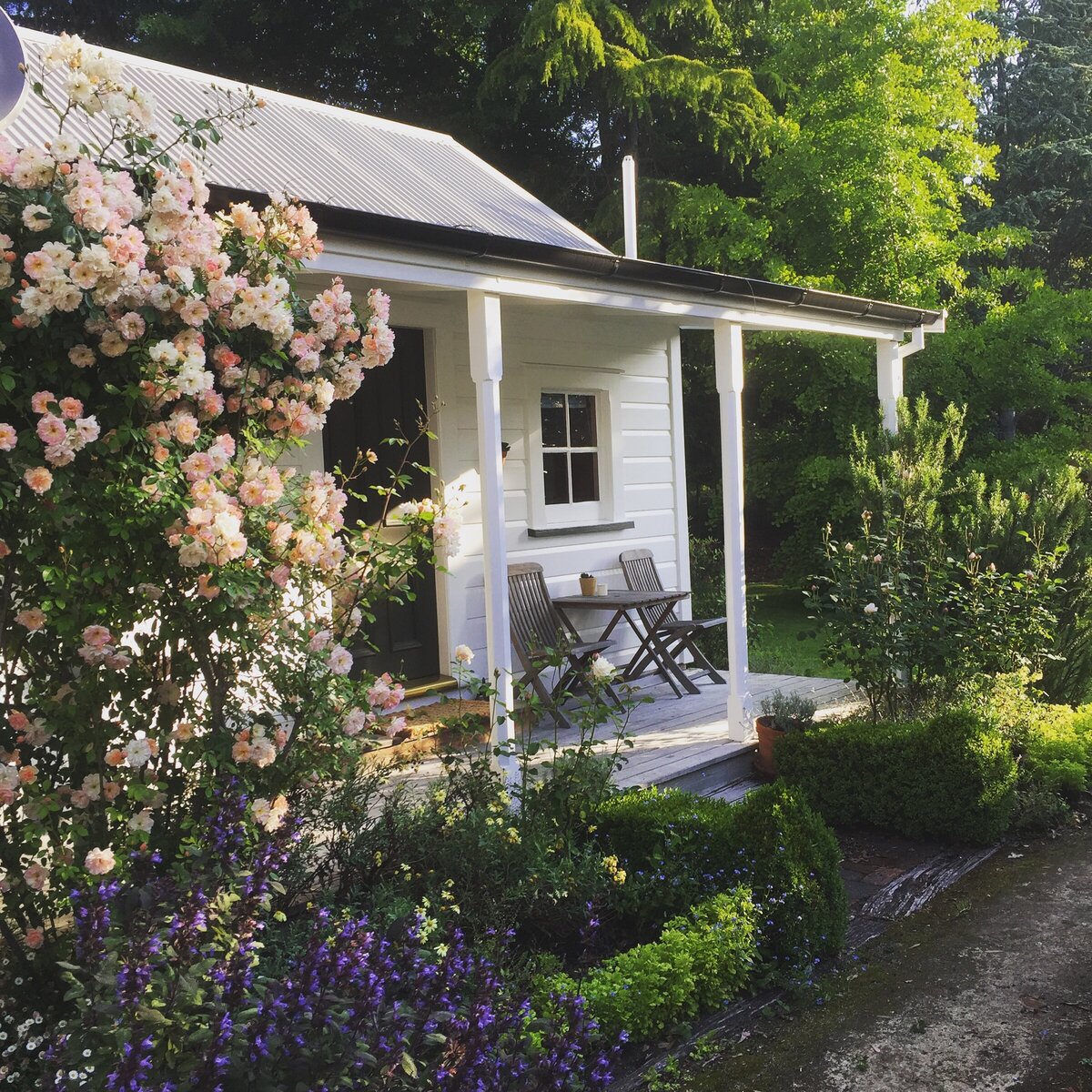 Havelock Cottage: Romantic Seclusion in New Zealand's Haven | Romantic ...