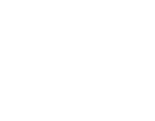 Optimise Performance with Spotlight™ Profiling | Janet Hughes Coach