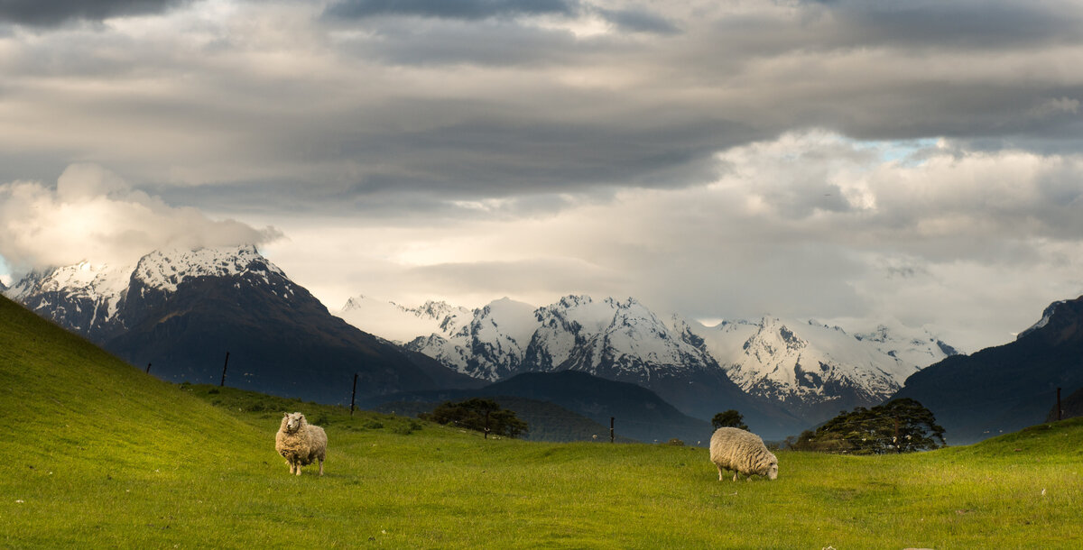 Extend your FARMAX farm file | FARMAX