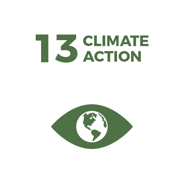 SDG 13 | Waikato Wellbeing Project