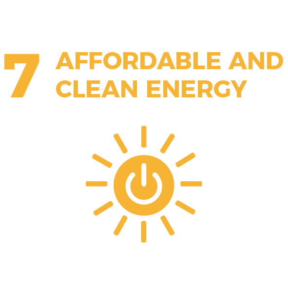 Progress Report SDG 7 | Waikato Wellbeing Project