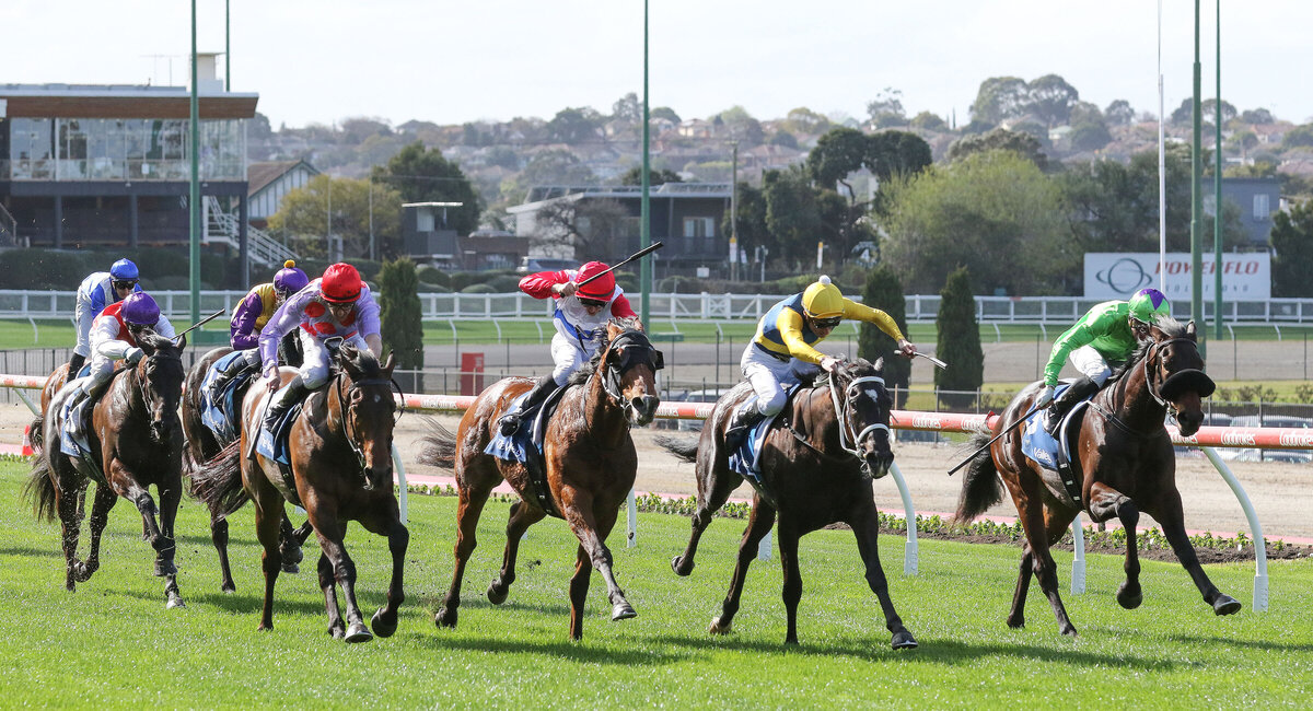 Ominous return for Virtuous Circle | New Zealand Thoroughbred Breeders ...