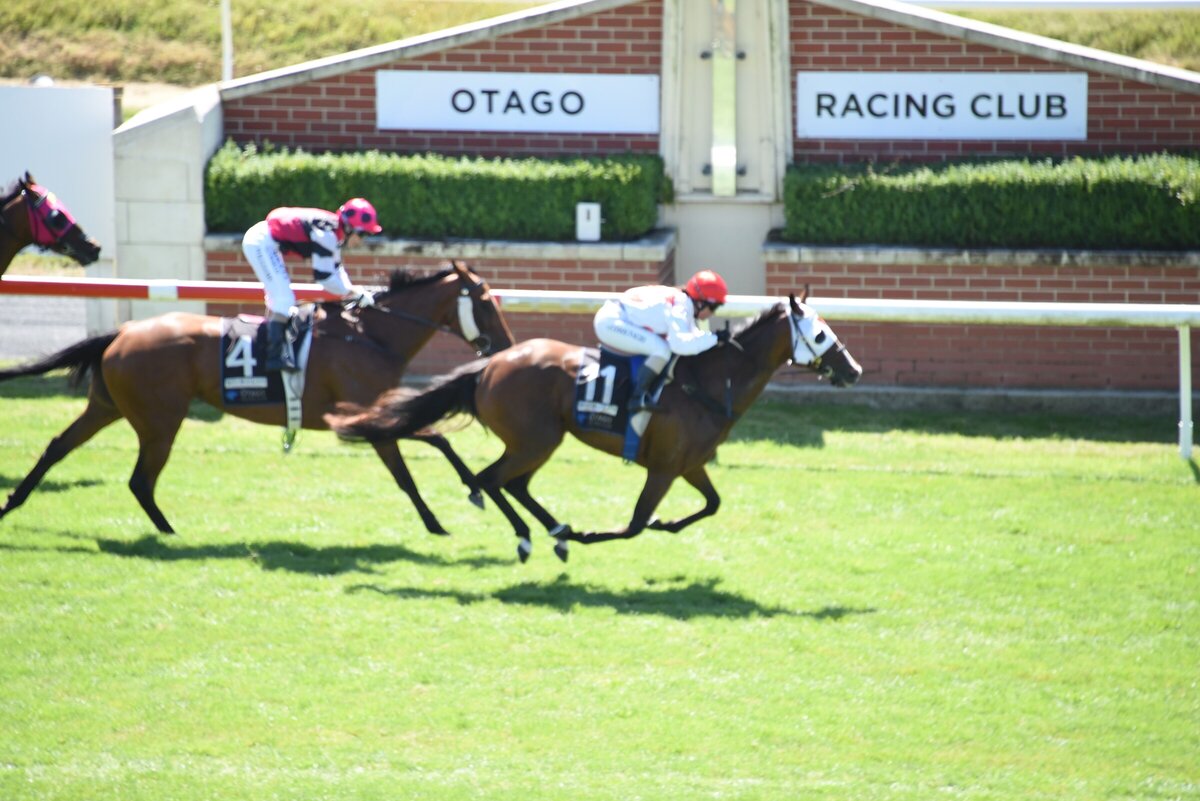 Good Things Take Time | New Zealand Thoroughbred Breeders' Association