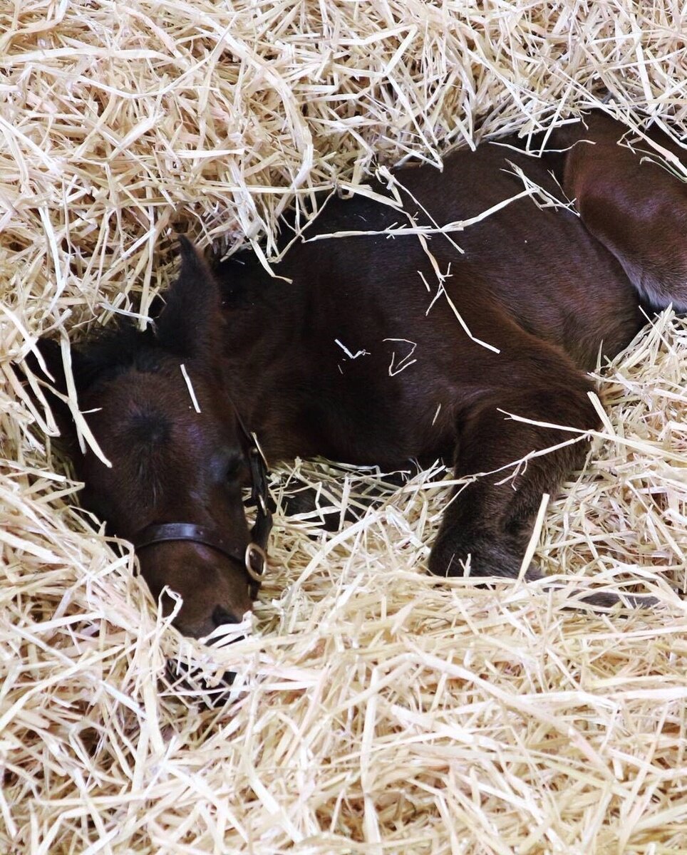 Sam Bergerson's Sunline Scholarship experience continues | New Zealand ...