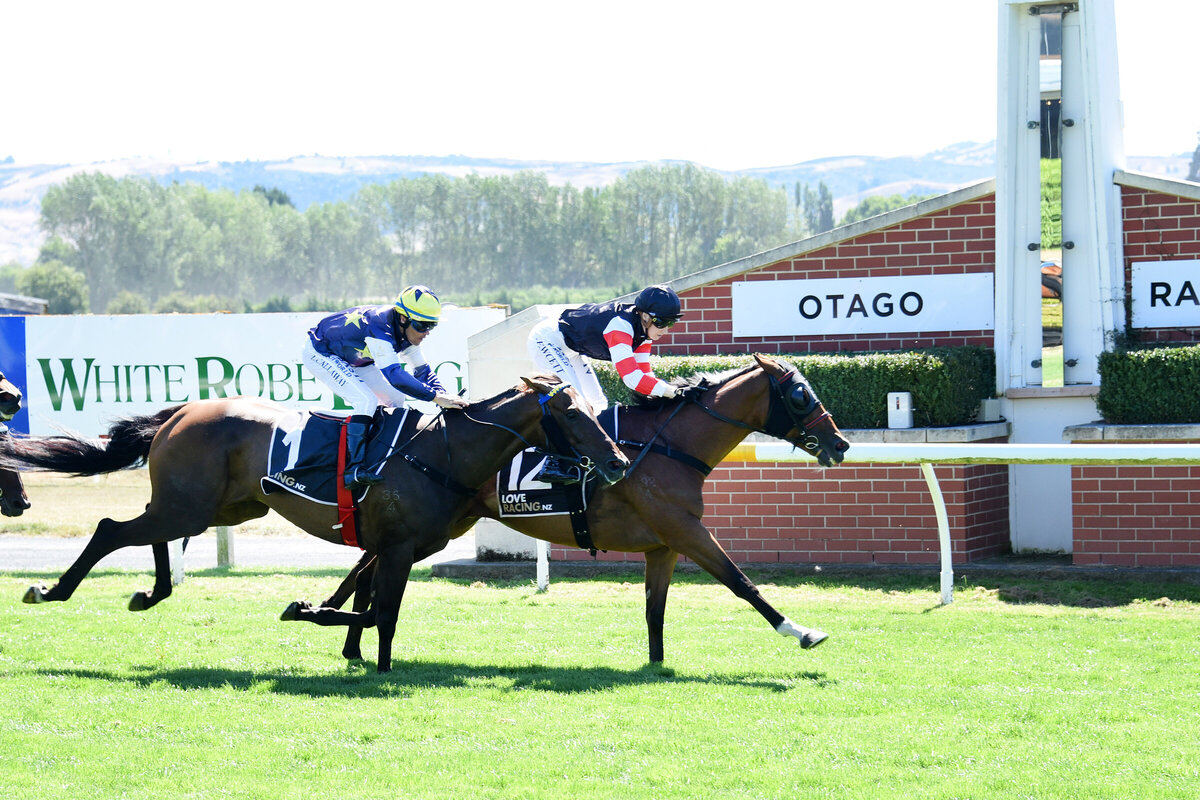 Honest mare provides Beck with stakes triumph | New Zealand ...