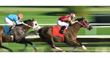 Trelawney puts the 'Icing on the Cake' for NZTBA member Judi Wanless ...