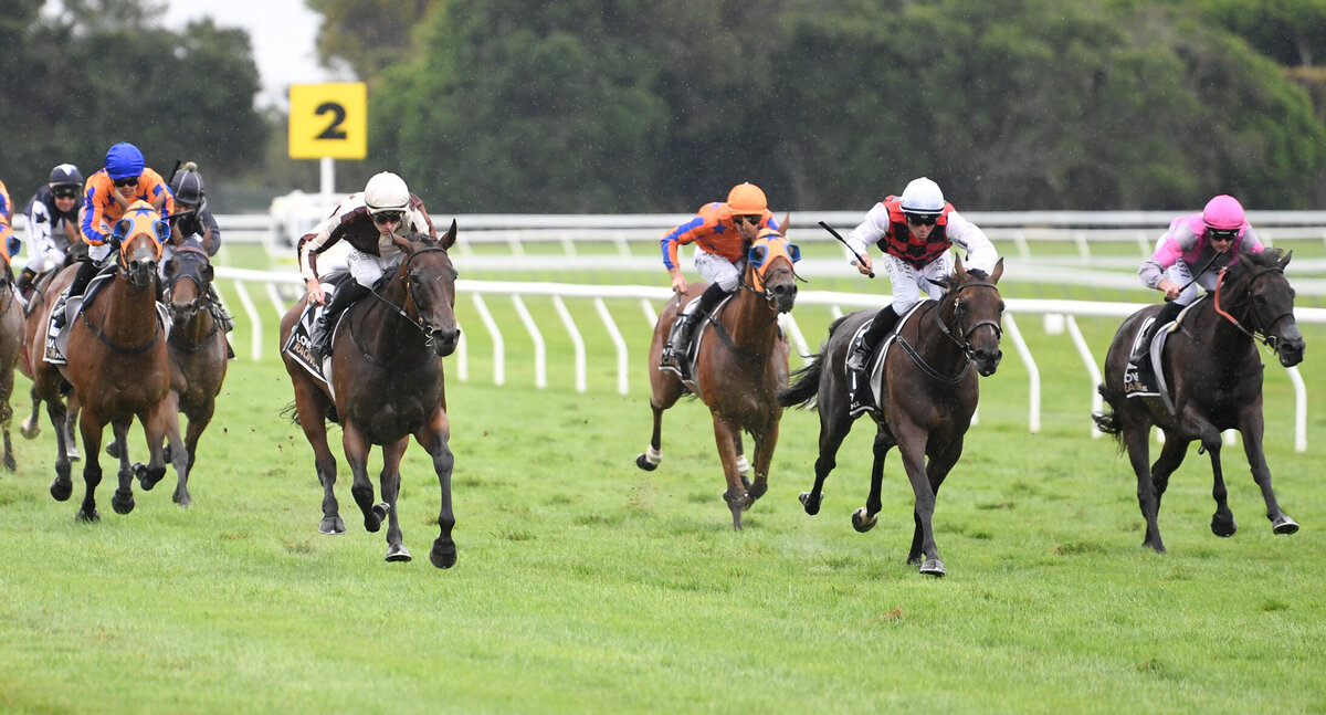 Fourth Group One for Levante | New Zealand Thoroughbred Breeders ...