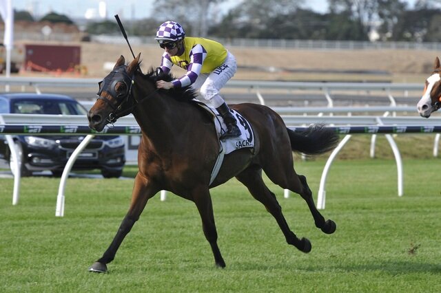 Champion mare Horlicks produces another Group One winner for Graham de ...