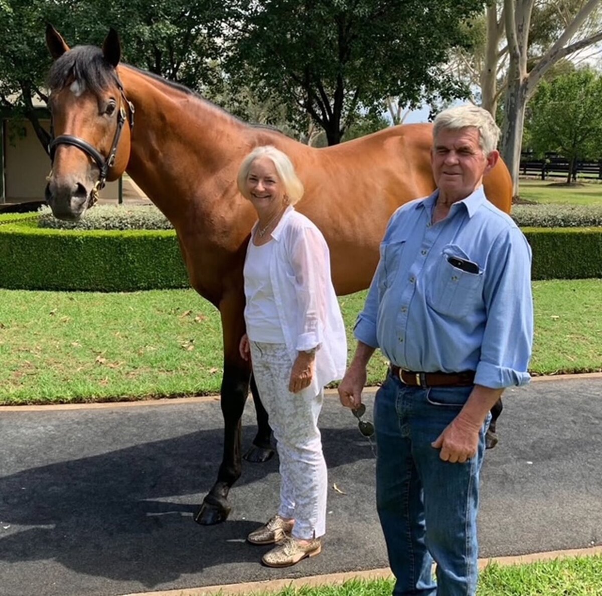 Meet the Breeder - Linda Huddy | New Zealand Thoroughbred Breeders ...