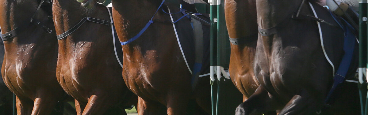 The New Zealand Pattern Committee Report explained | New Zealand ...