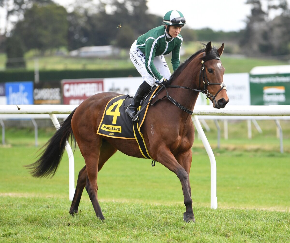 Challenge Syndications offers another Group One star on gavelhouse.com ...