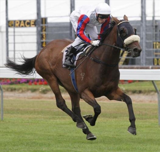 Andrew and Dave breed the NZ Oaks winner! | New Zealand Thoroughbred ...