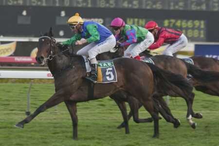 Wairarapa-bred mare wins at Royal Randwick | New Zealand Thoroughbred ...