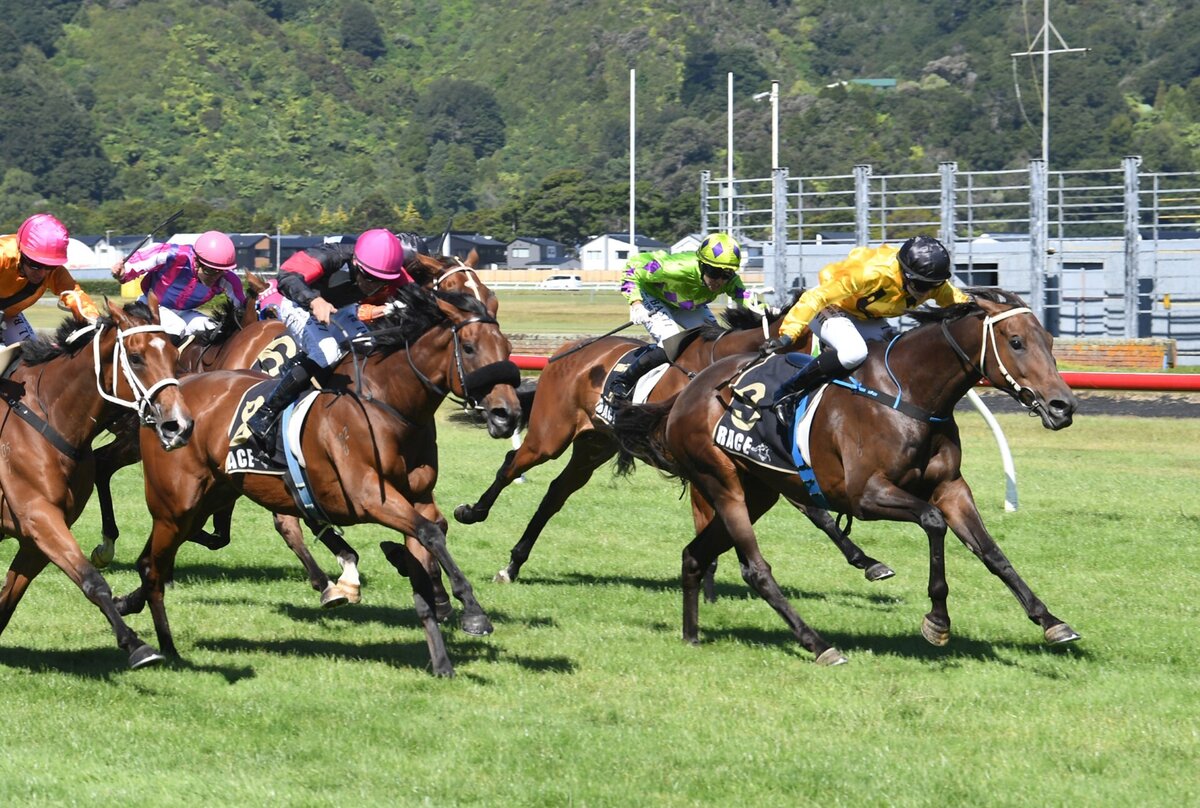 Ruby Rocks upsets in Marton Cup | New Zealand Thoroughbred Breeders ...