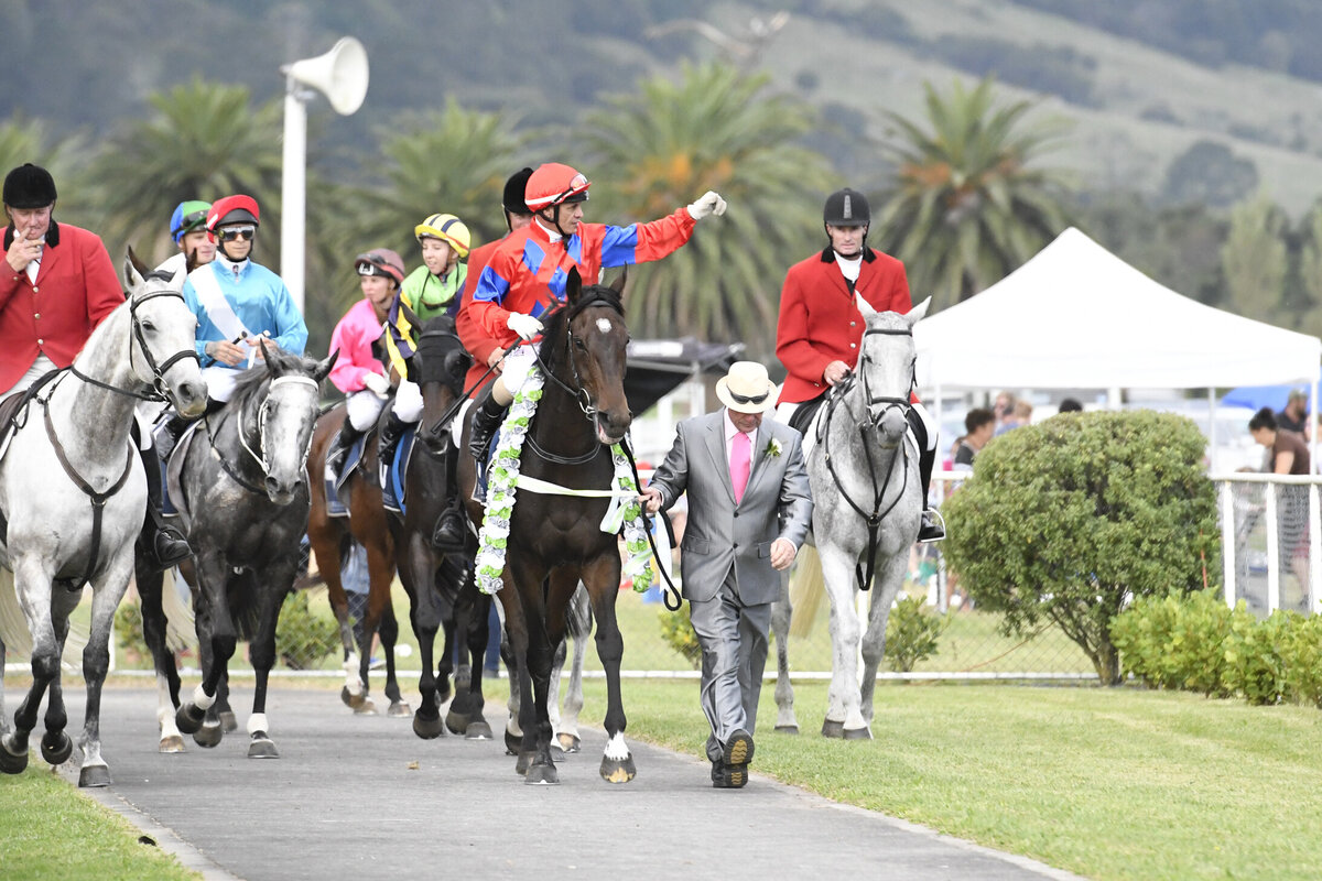 RACEFORM back for new racing season | New Zealand Thoroughbred Breeders ...