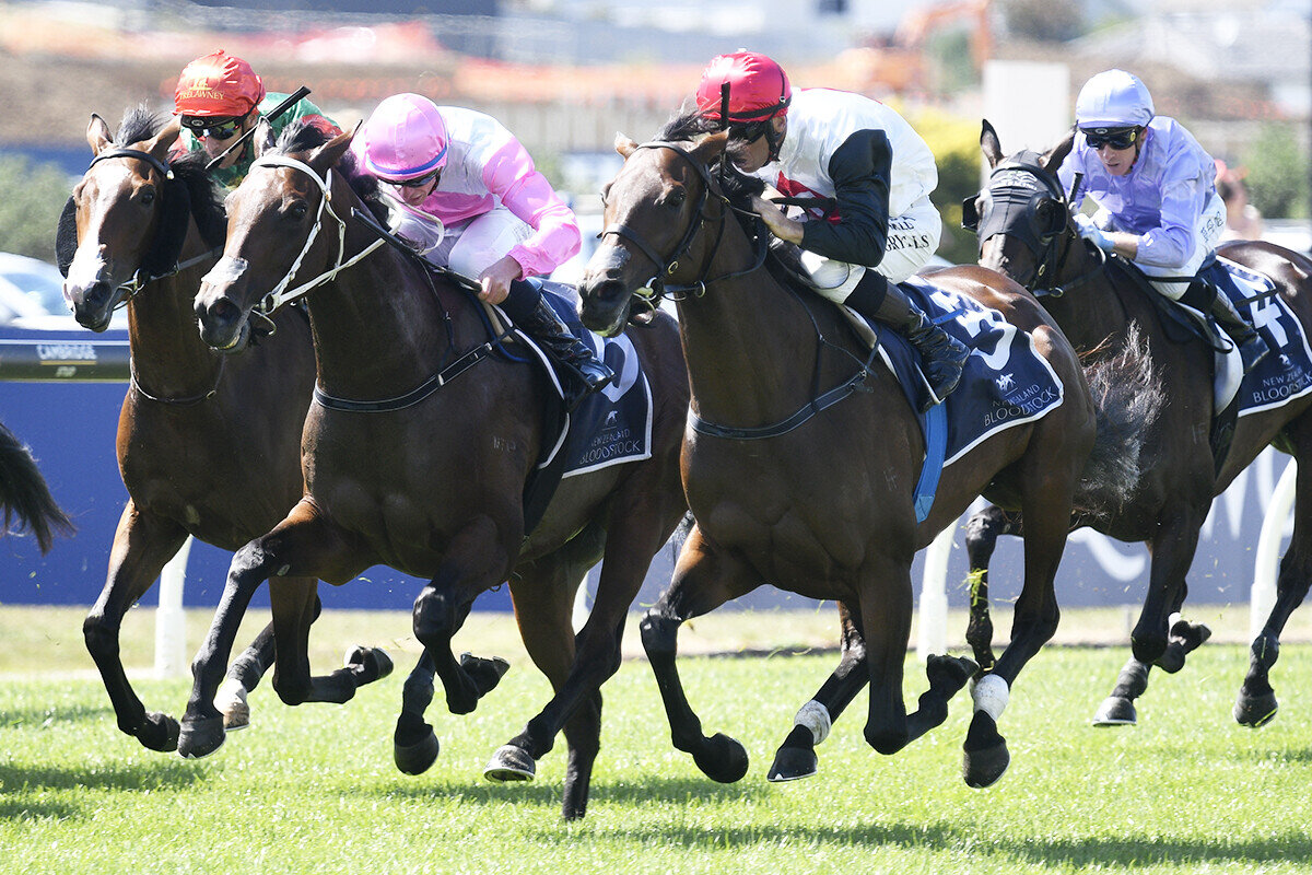 Francee (NZ) a Fitting Winner in Entain/NZB Insurance Pearl Series ...