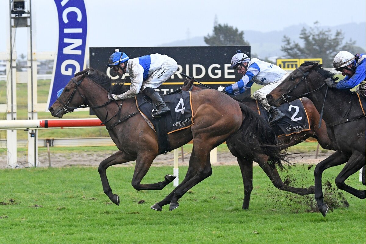 Stud on target for further Guineas glory | New Zealand Thoroughbred ...
