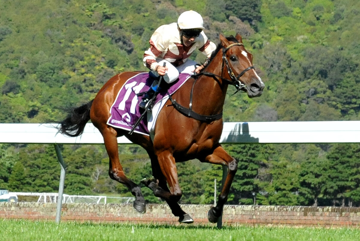 Alan Groves enjoys Group One success with Aide Memoire | New Zealand ...