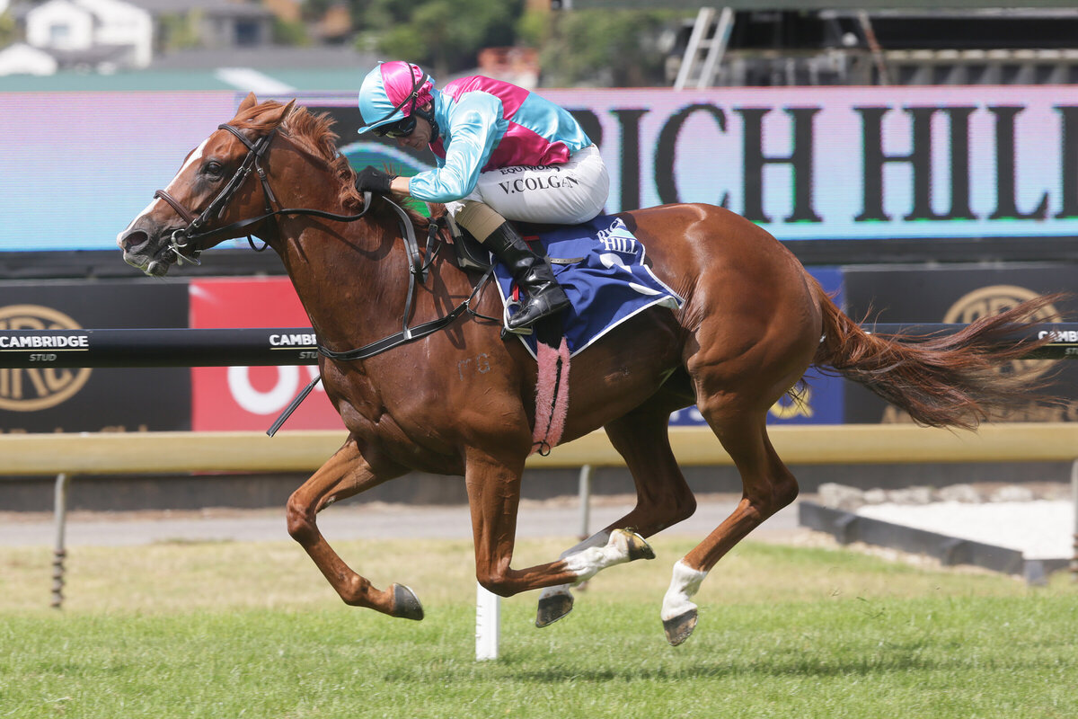 Surgenor set to unveil exciting juvenile | New Zealand Thoroughbred ...