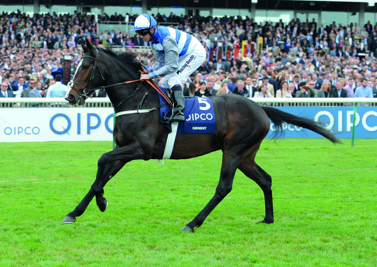 International Success for New Zealand Stallions | New Zealand ...