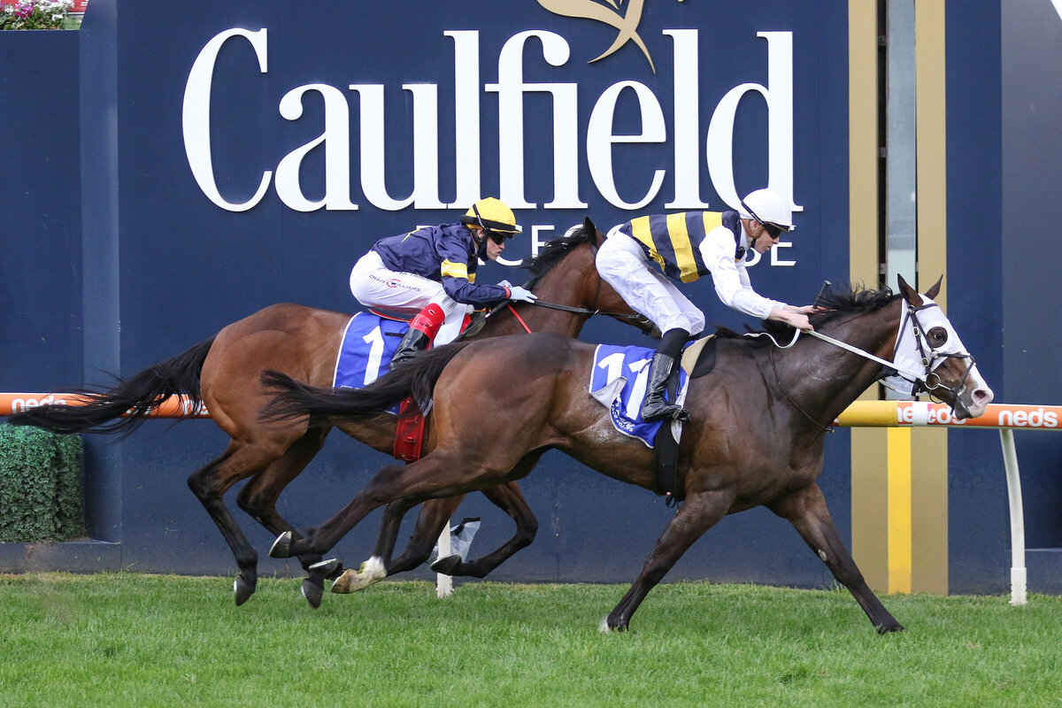 I’m Thunderstruck storms to Toorak victory | New Zealand Thoroughbred ...