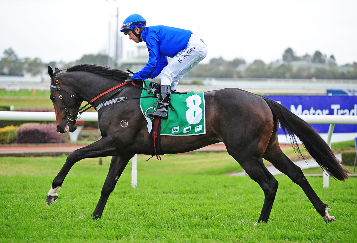 Novara Park Open Day | New Zealand Thoroughbred Breeders' Association