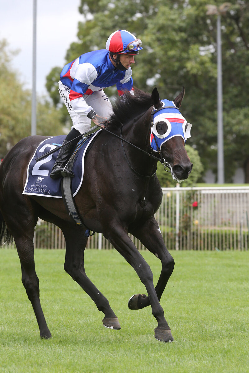 Out of control hobby reaps Group Two rewards | New Zealand Thoroughbred ...