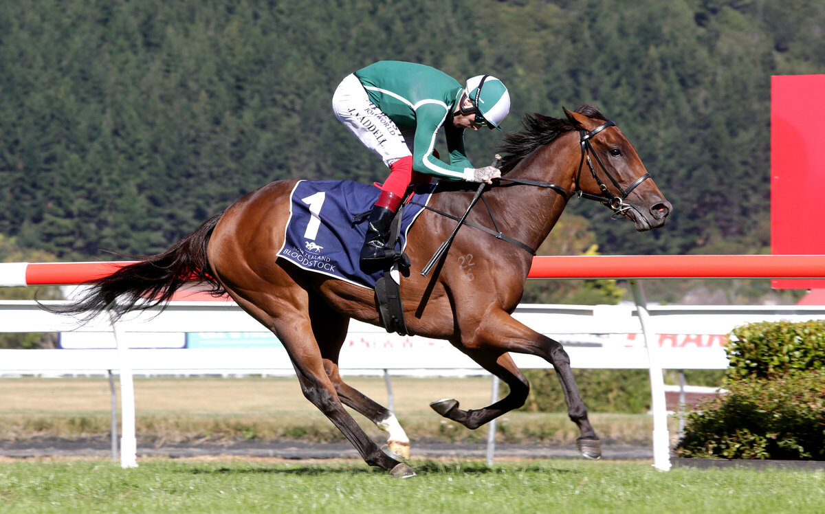 Filly of the Year to be Auctioned on Gavelhouse Plus | New Zealand ...