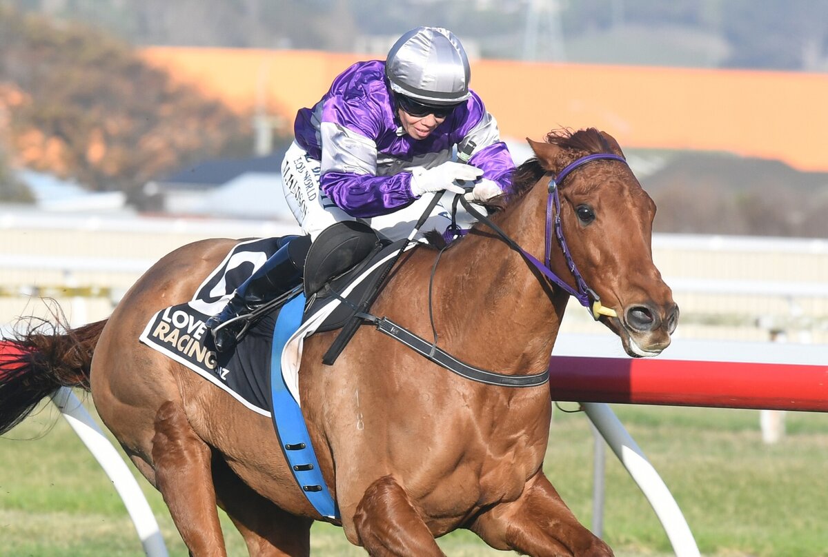 Southern raider strikes black-type gold | New Zealand Thoroughbred ...