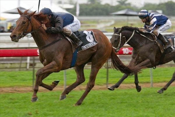 Queensland Oaks success for Greg Tomlinson | New Zealand Thoroughbred ...