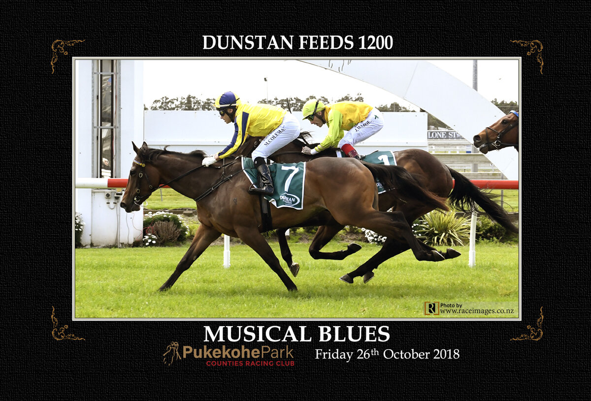 Blue hen broodmare Bohemian Blues continues to deliver | New Zealand ...