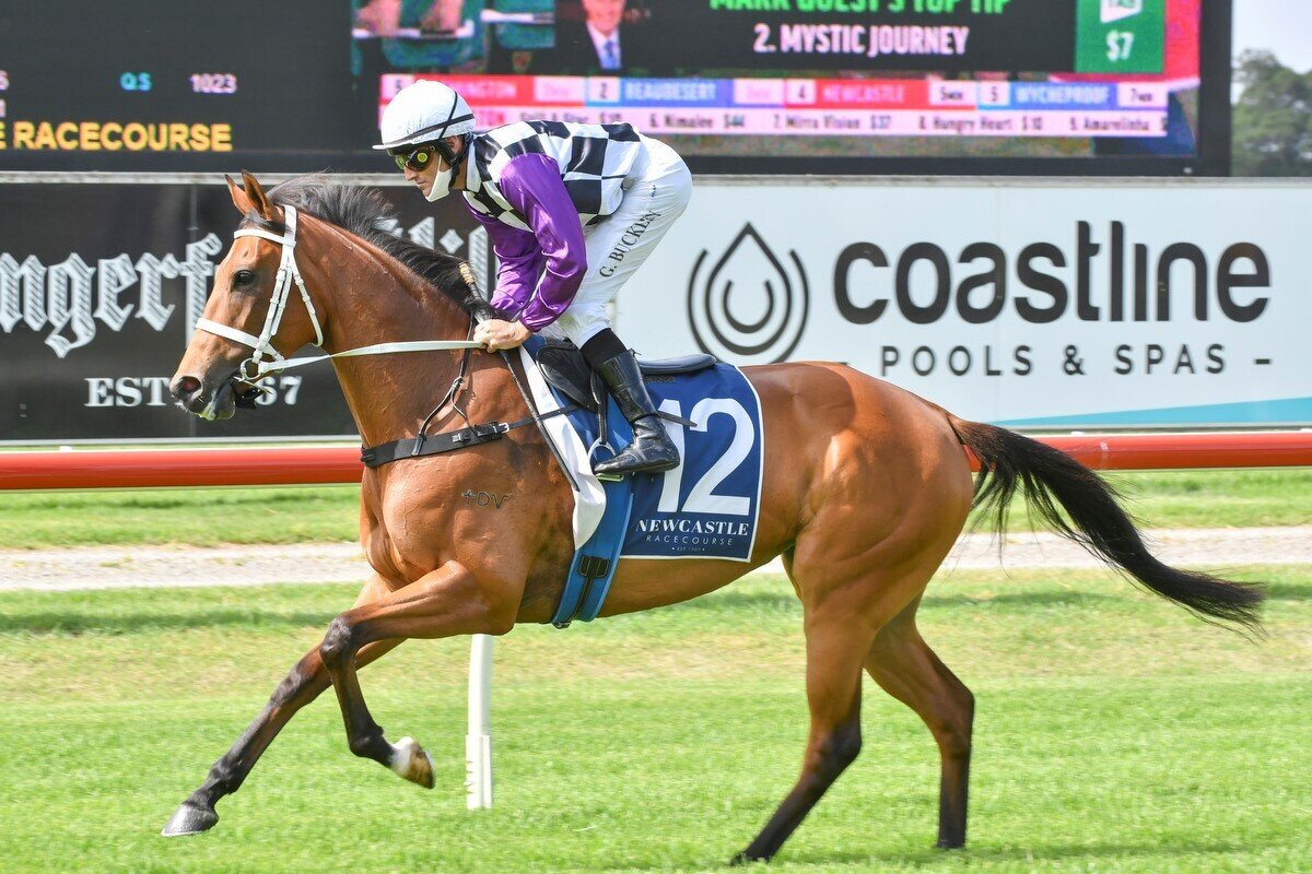Preferment lands first Australian winner with Smirk | New Zealand ...