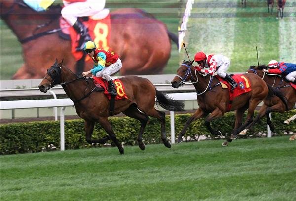 Hong Kong success for the Lowry family | New Zealand Thoroughbred ...
