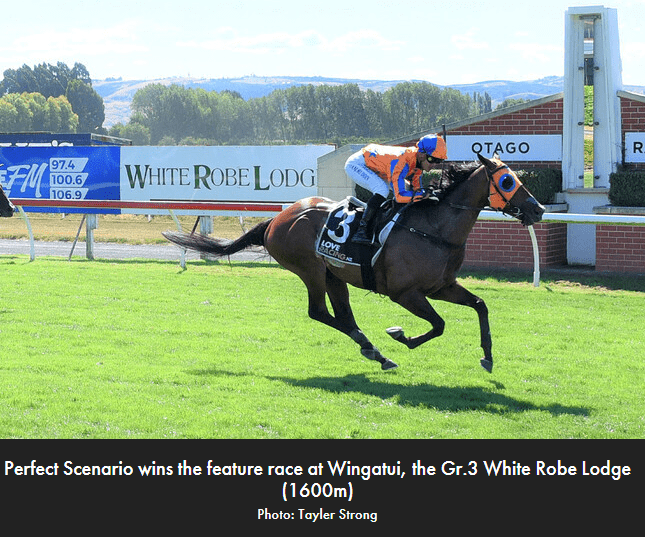 Perfect result in Dunedin feature for Te Akau Racing | New Zealand ...