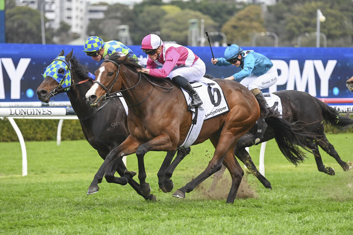 Showmanship shines in Sydney | New Zealand Thoroughbred Breeders ...