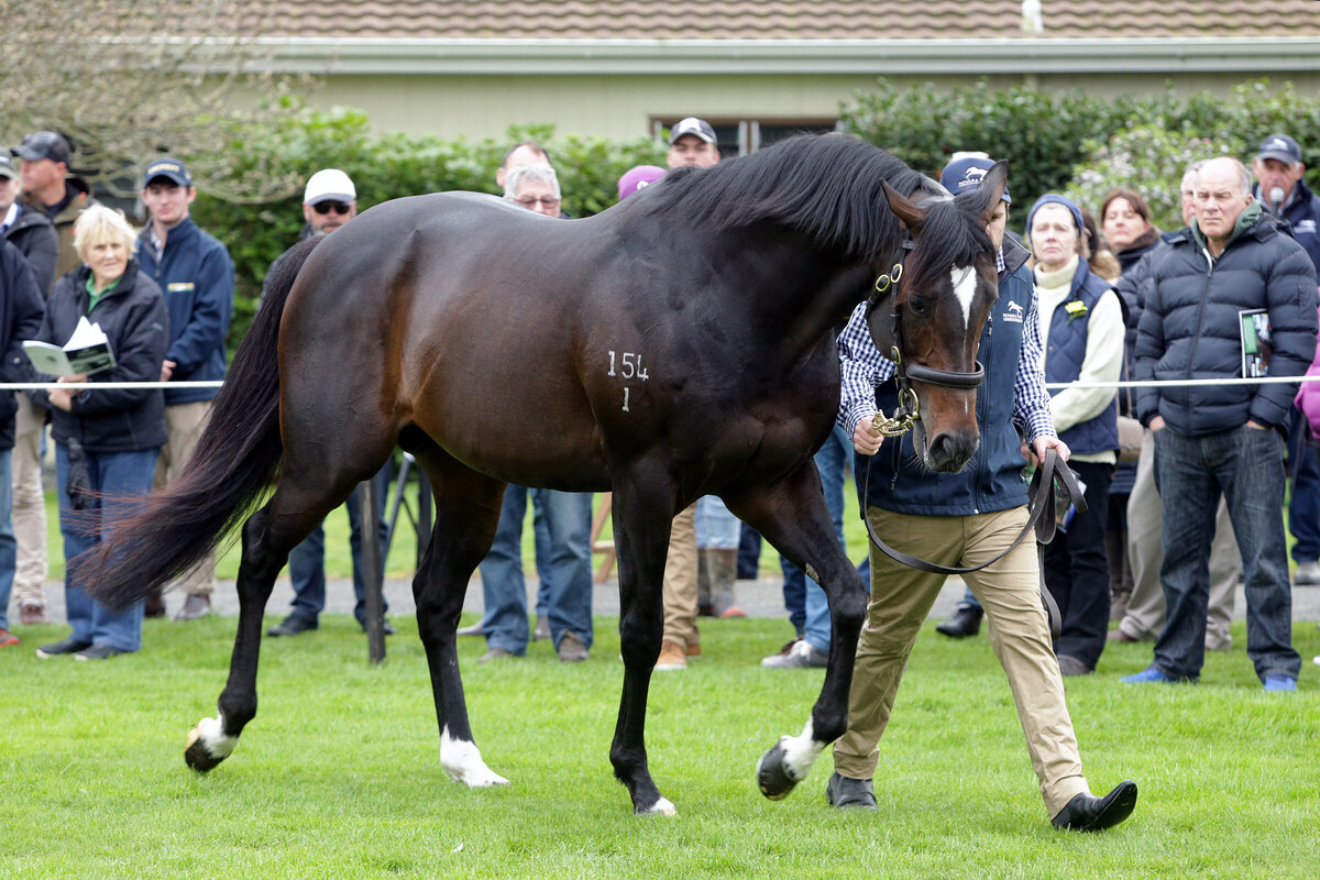 Novara Park announce service fees | New Zealand Thoroughbred Breeders ...