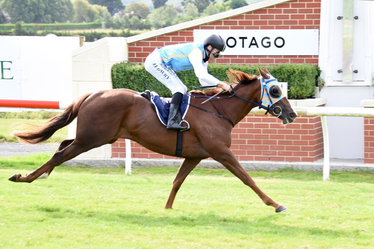 The Gift Proves Too Tough In Wingatui Feature | New Zealand ...