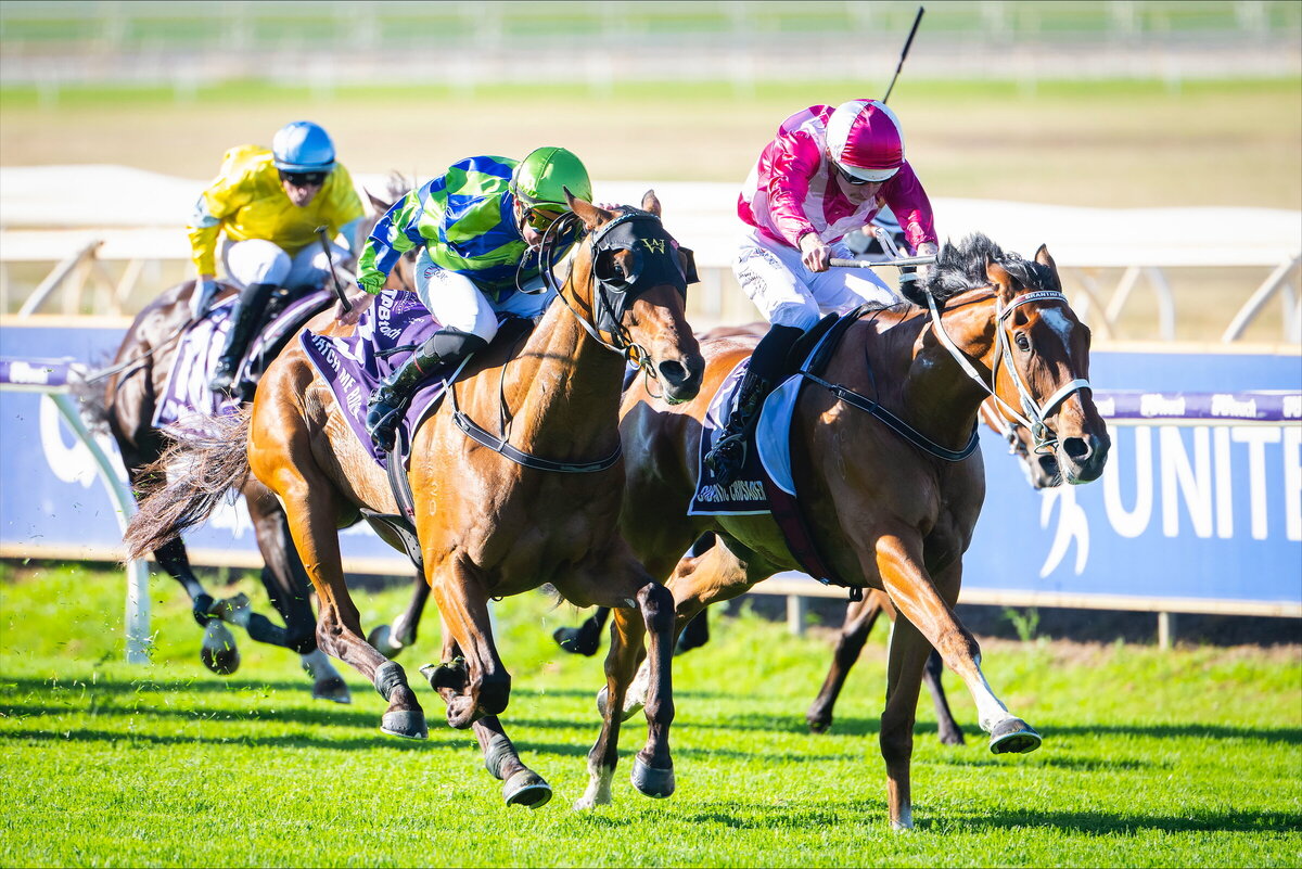 Cosmic Crusader heads big Kiwi-bred result in Northerly | New Zealand ...