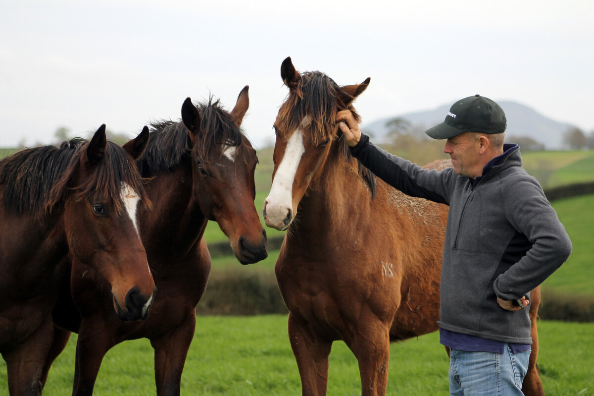 Dunstan Horsefeeds Breeder of the month - Gordon Cunningham | New ...