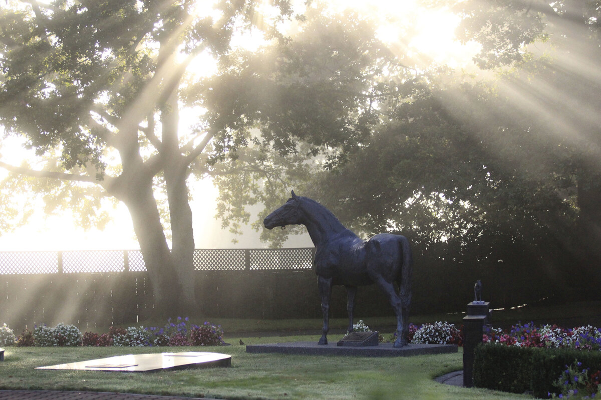 A New Era for Cambridge Stud | New Zealand Thoroughbred Breeders ...