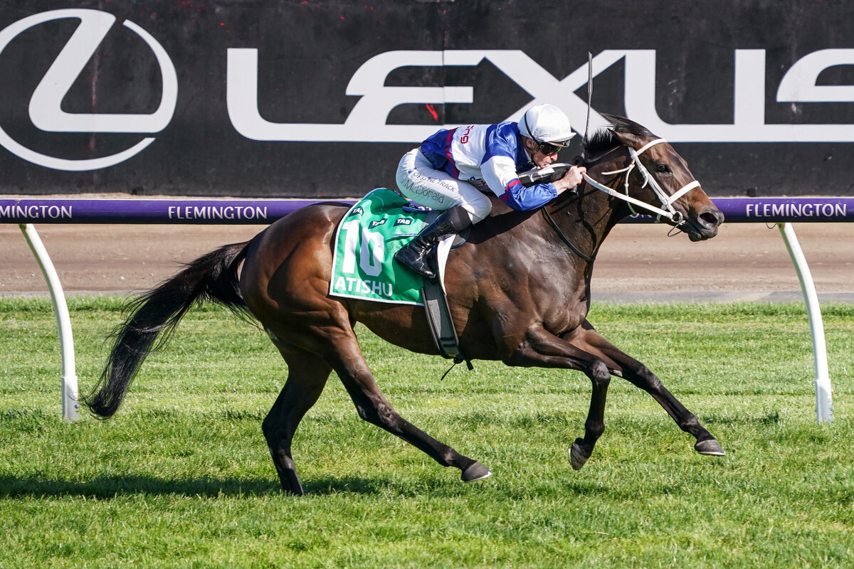 Atishu blows them away in Champions Stakes | New Zealand Thoroughbred ...