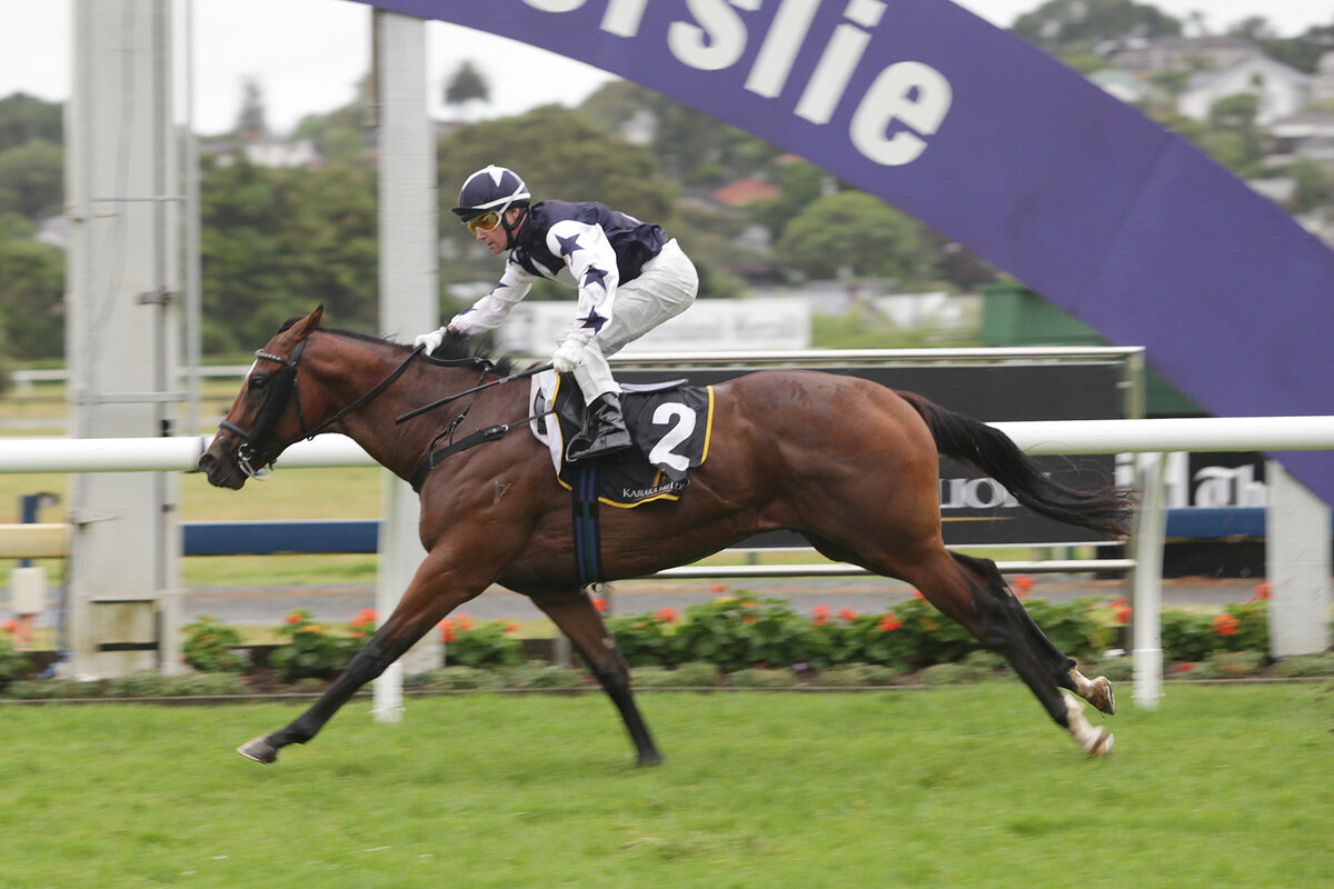 Vespa a great fit for Wellfield Lodge | New Zealand Thoroughbred ...