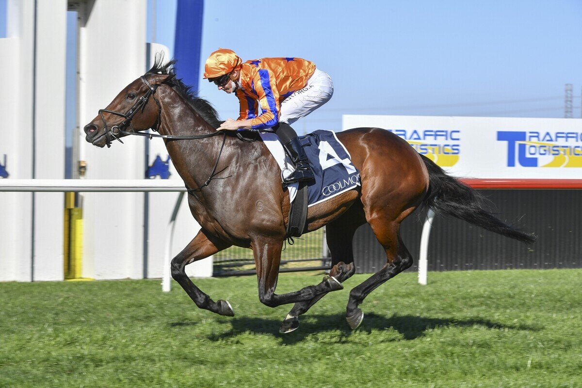 Entriviere returns in devastating fashion | New Zealand Thoroughbred ...