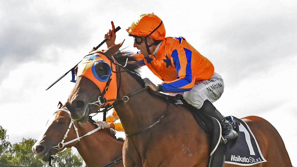 Kiwi Chronicles - Obvious | New Zealand Thoroughbred Breeders' Association