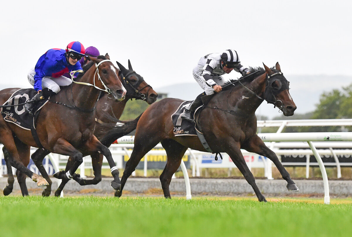 Tavattack provides double for Sharrock and Grylls | New Zealand ...