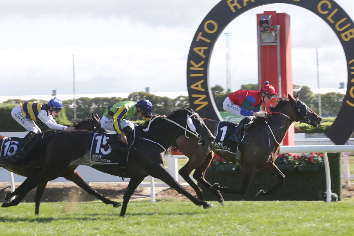 Sharp ‘N’ Smart leading the way for Redwood | New Zealand Thoroughbred ...