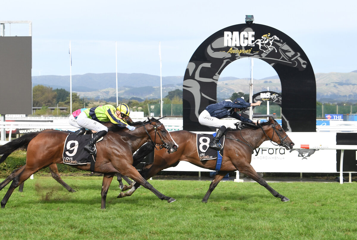 Staphanos success celebrated in US | New Zealand Thoroughbred Breeders ...