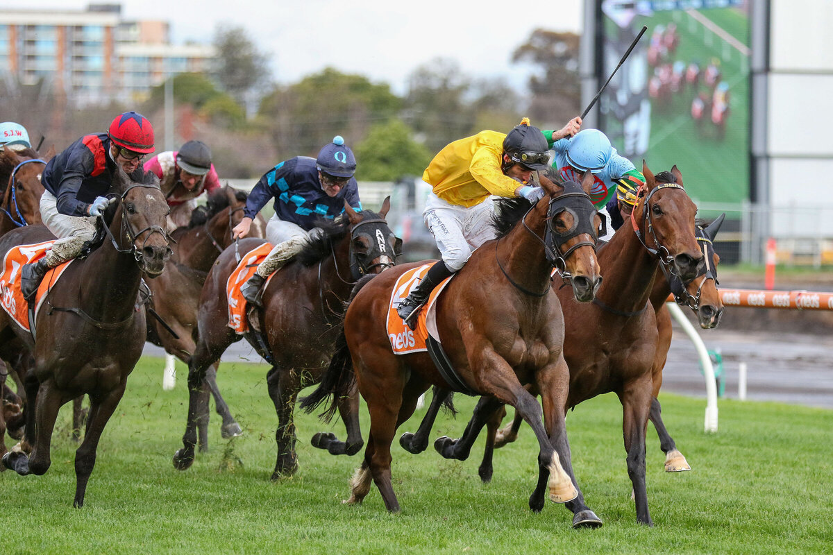 Group One win calls for celebration | New Zealand Thoroughbred Breeders ...
